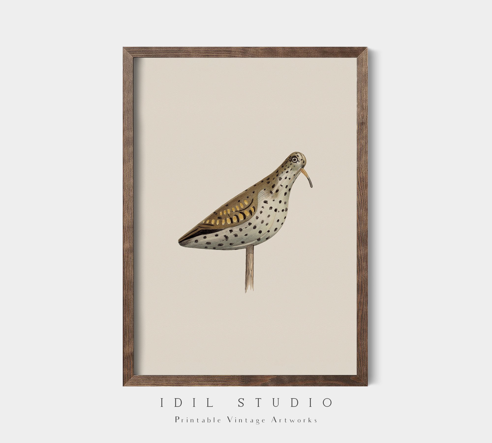 Rustic Nursery Animal Drawing Set Vintage Bird Decor Set of - Etsy