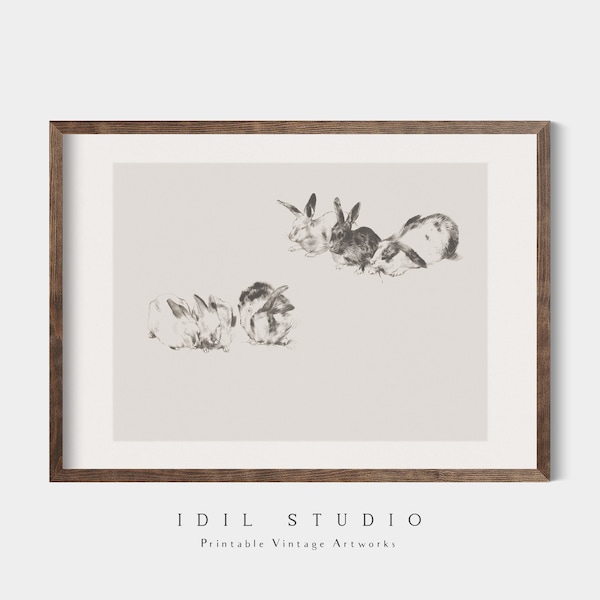 Antique Rabbit Print - Etsy