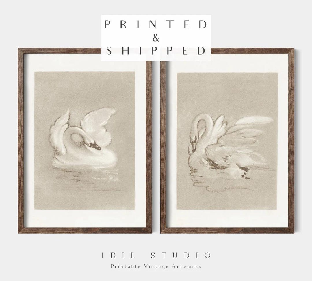 PRINTED & SHIPPED Vintage Swan Art Set of 2 | Soft Aesthetic Rustic ...