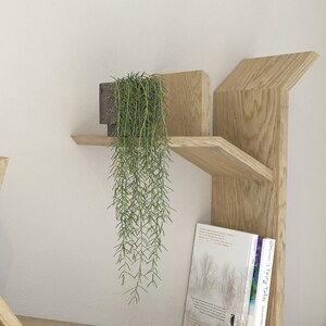 Solid Oak, 2.4m Oak Branch, Rustic Square Edge, Tree Shelves, Oak Shelf ...