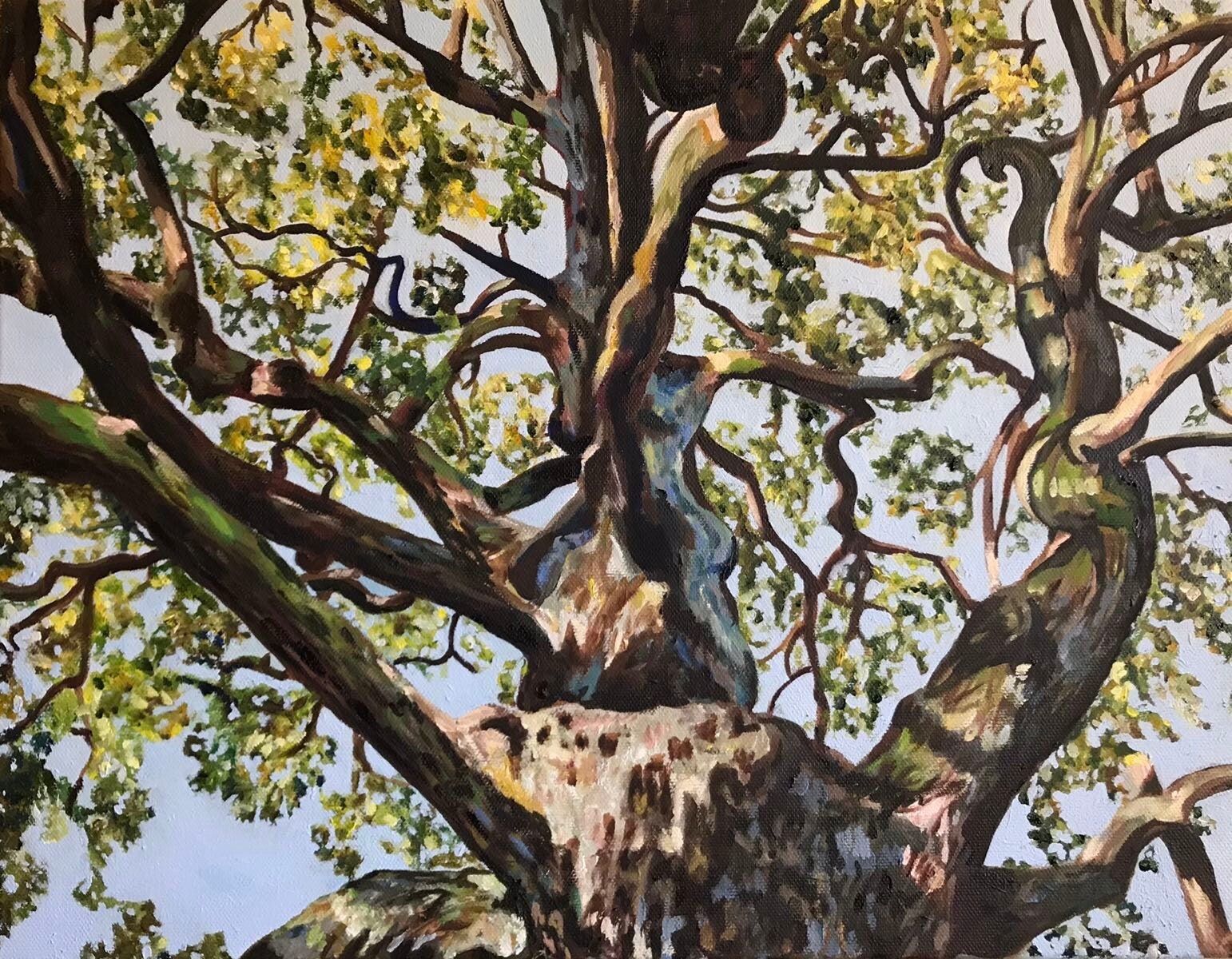 Giclee Art Print, Oak Tree, Original Oil Painting, Fine Art, Landscape ...