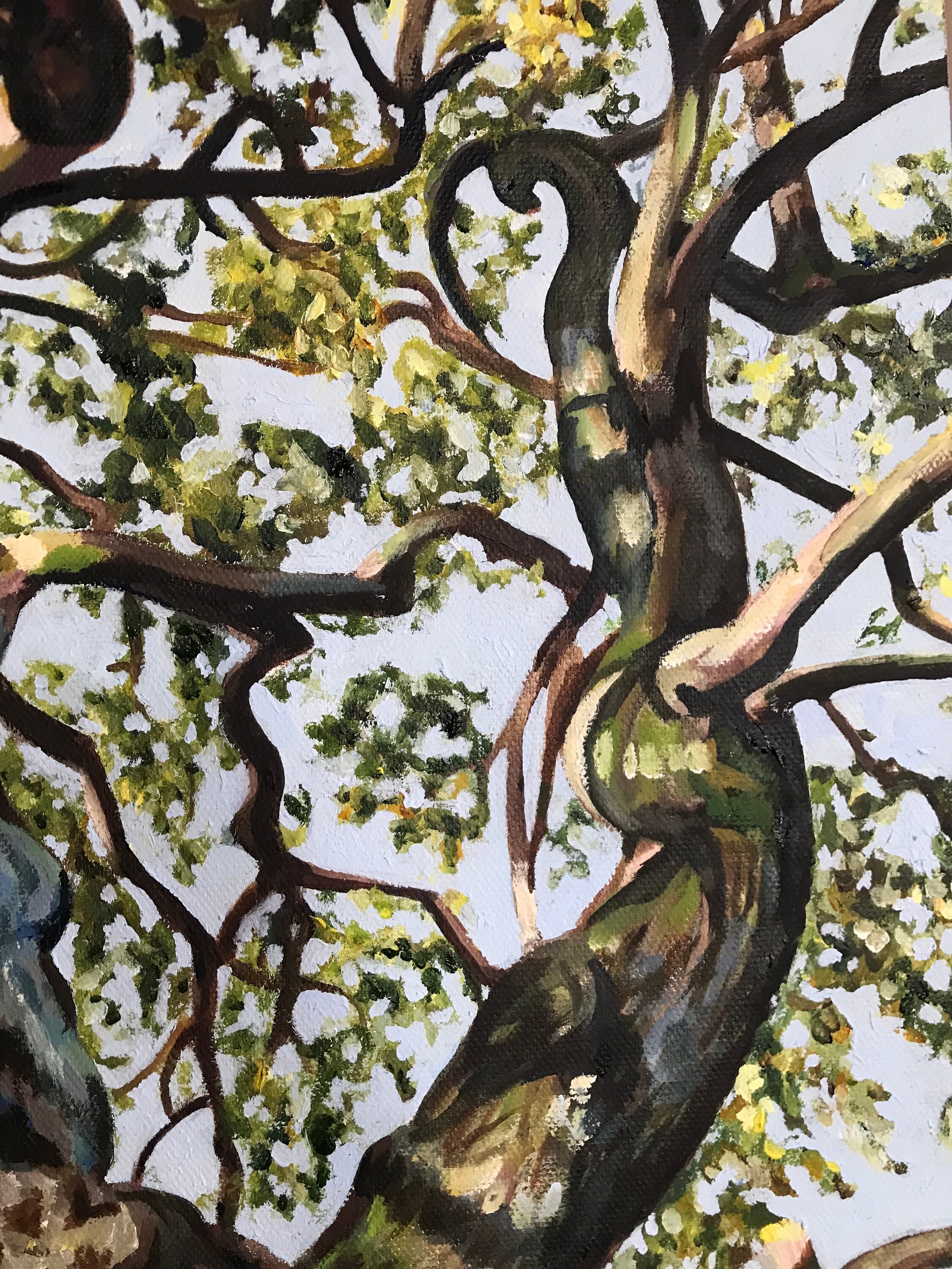 Giclee Art Print, Oak Tree, Original Oil Painting, Fine Art, Landscape ...