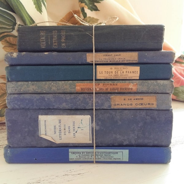 Blue Book Stack - Etsy