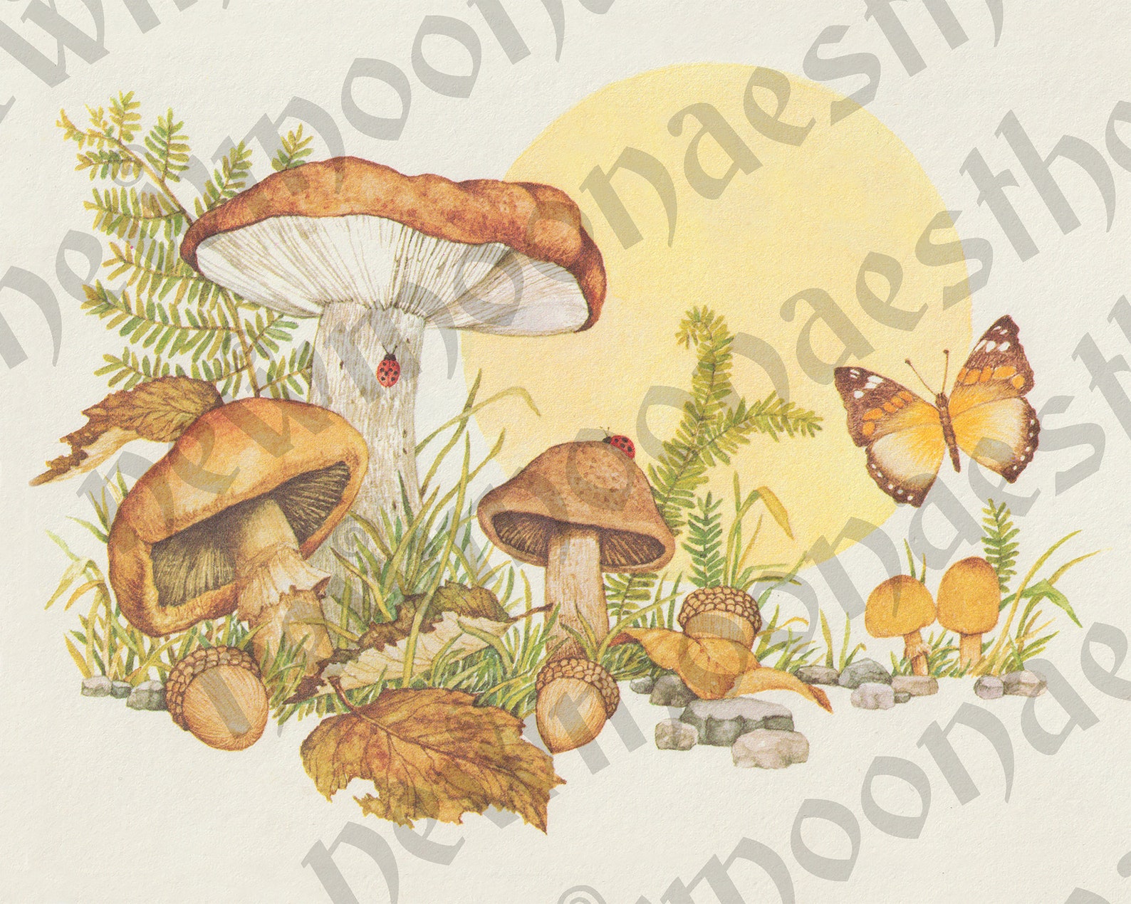 Retro 70s Mushroom Print / 60s Reproduction Poster / Vintage - Etsy