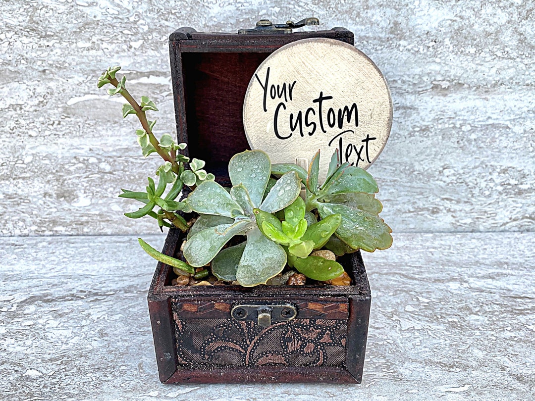 Succulent Gift Box / Live Succulent Arrangement / Custom Gift Basket ...