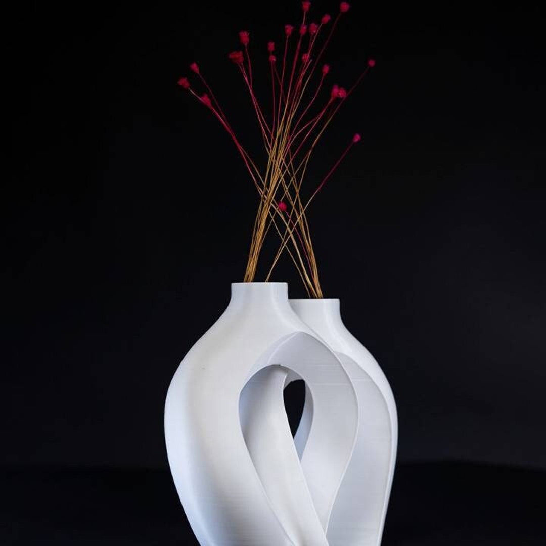 Modern Vase 3D Printed Multiple Colors Available Unique Home Decor ...