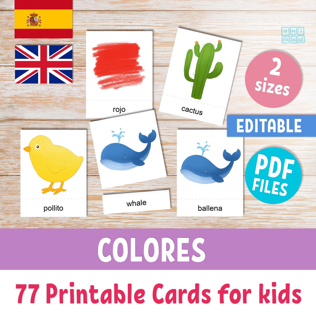 SPANISH & ENGLISH Vocabulary Flashcards With Words About COLORS ...