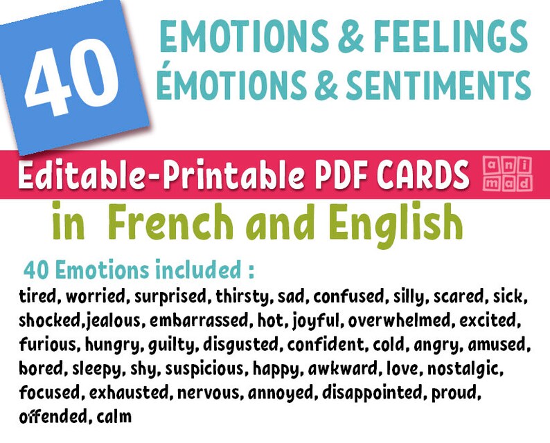 EMOTIONS & FEELINGS Printable Flashcards for Kids in English and French ...