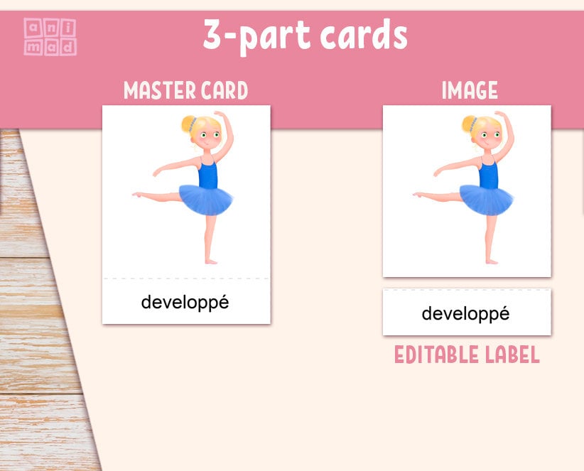 BALLET Poses Printable CARDS for Girls, 23 Montessori Ballerinas Cards ...