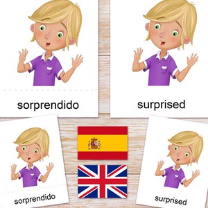 EMOTIONS and FEELINGS Printable Flashcards in Spanish & English for ...