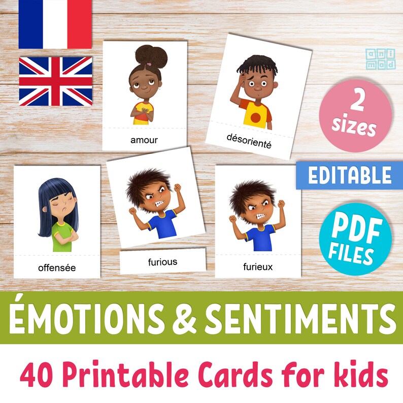 EMOTIONS & FEELINGS Printable Flashcards for Kids in English and French ...