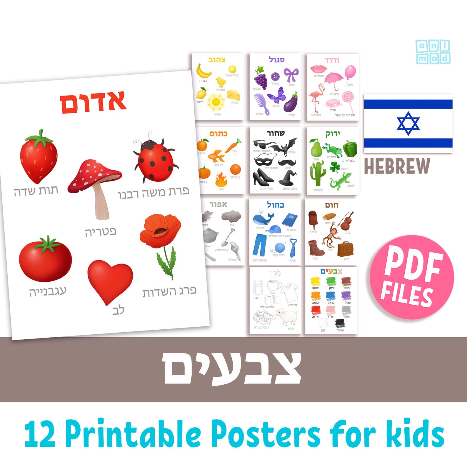 COLORS Printable Posters for Preschool Kids in HEBREW, Set of 12 ...