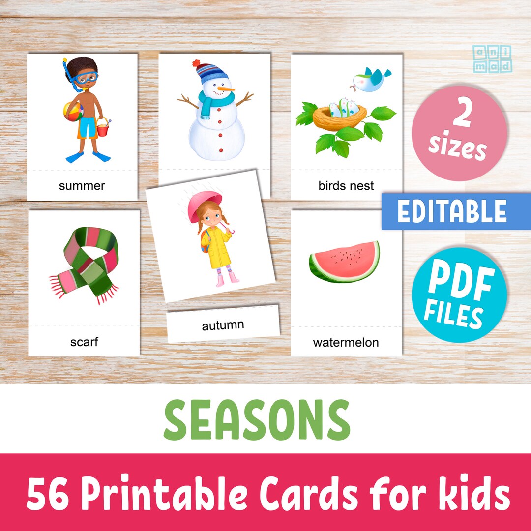 SEASONS of the Year Flash Cards for Preschool Kids, 56 Montessori ...