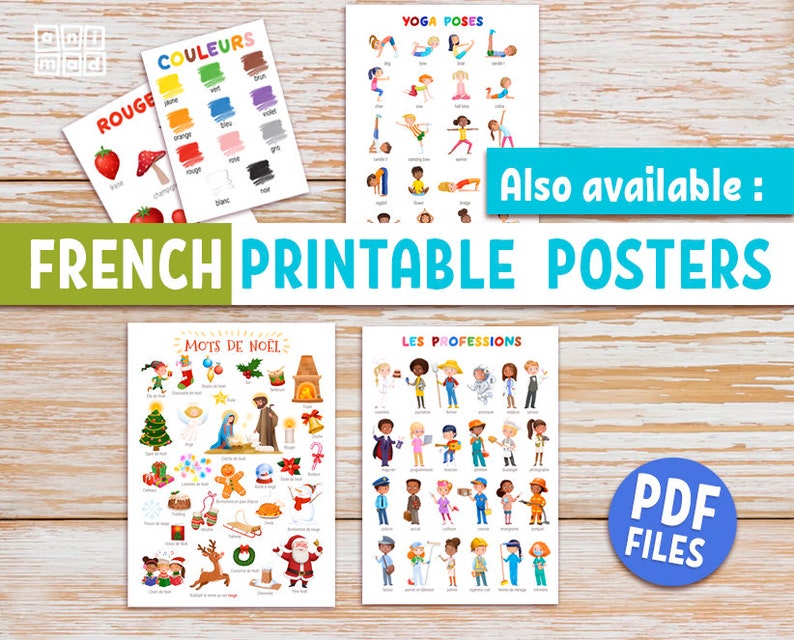 Emotions & Feelings Printable Poster for Preschool Kids in FRENCH ...
