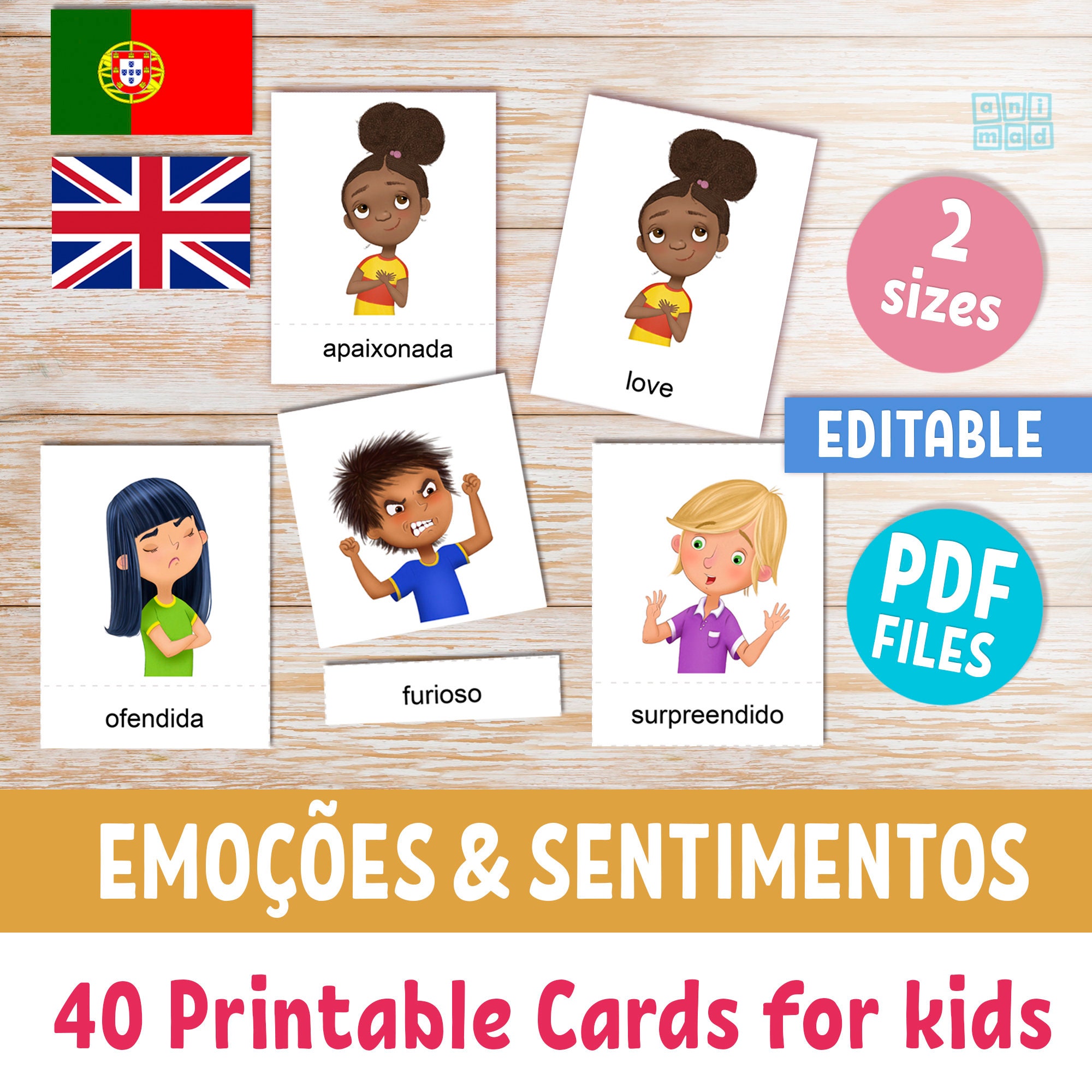 EMOTIONS & FEELINGS Printable Flashcards for Preschoool Kids in ...