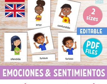 Emotions Flashcards Printables Chinese English Bilingual 情绪 ...