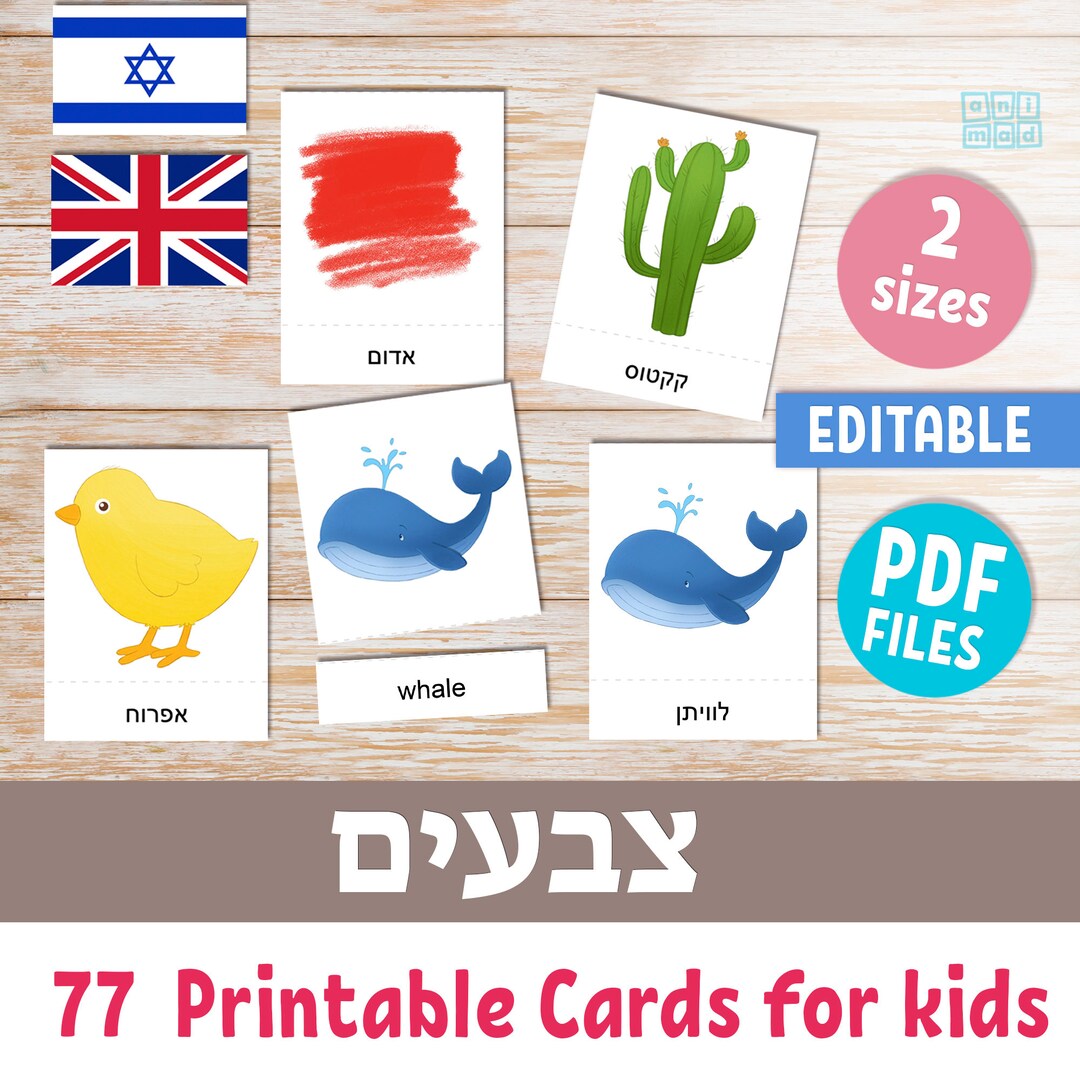 Learn COLORS Printable & Editable Flashcards for Preschool Kids in ...