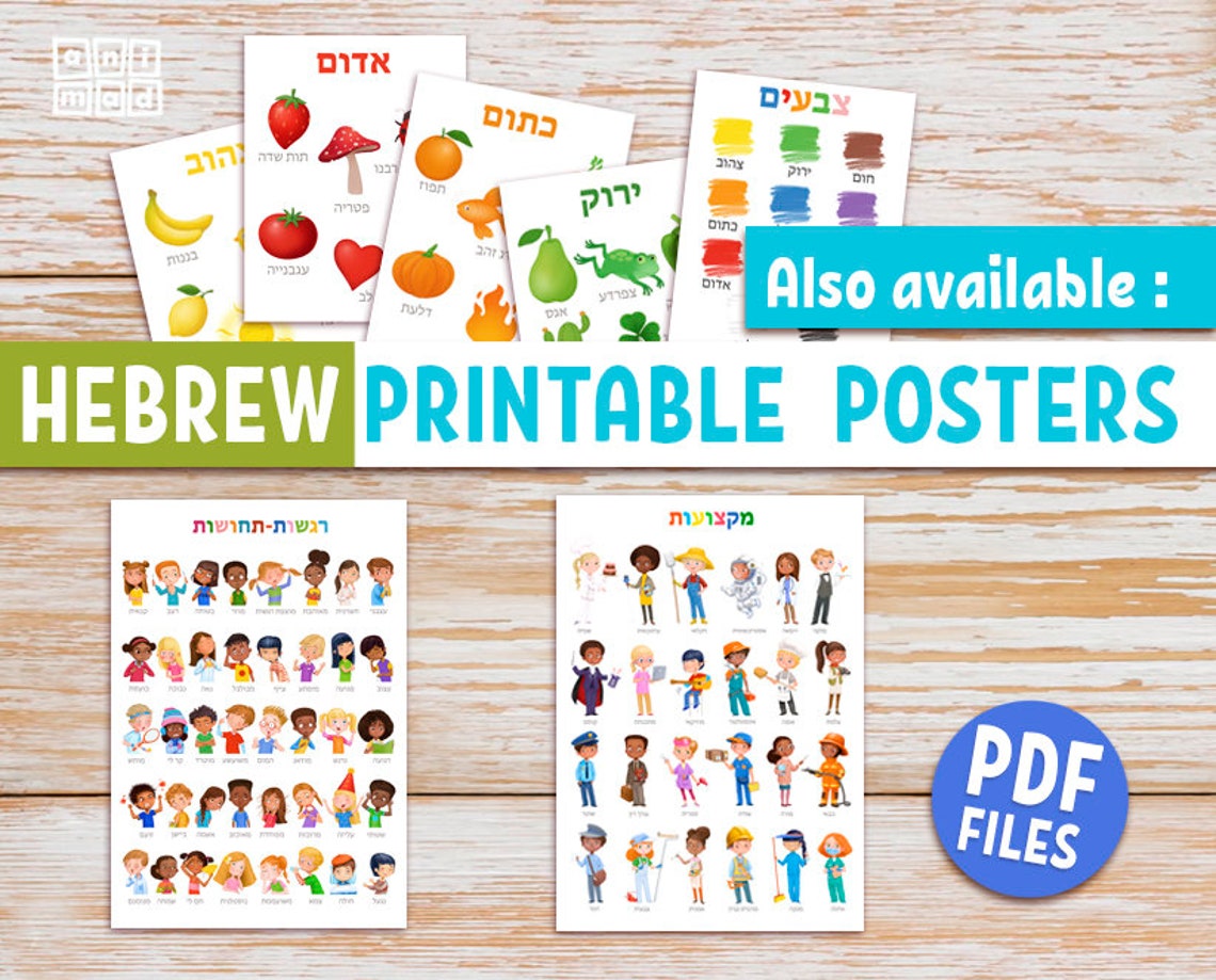 YOGA POSES Printable Poster for Kids in HEBREW, Classroom, Homeschool ...