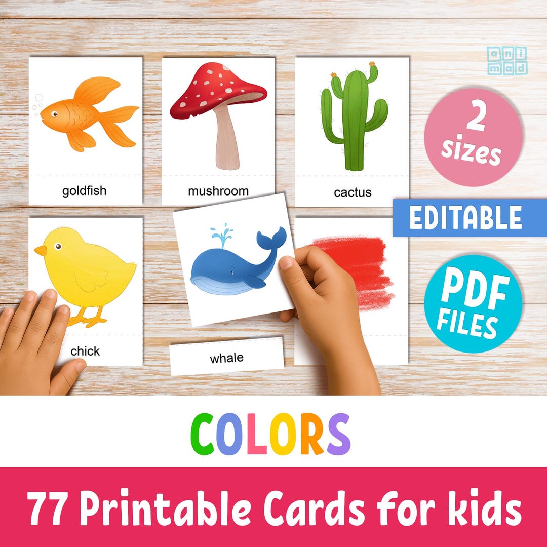 Learn COLORS Flash Cards for Kids, Montessori Vocabulary Cards in ...