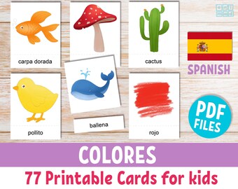 Spanish Flashcards Fruits and Vegetables Preschool Flash - Etsy