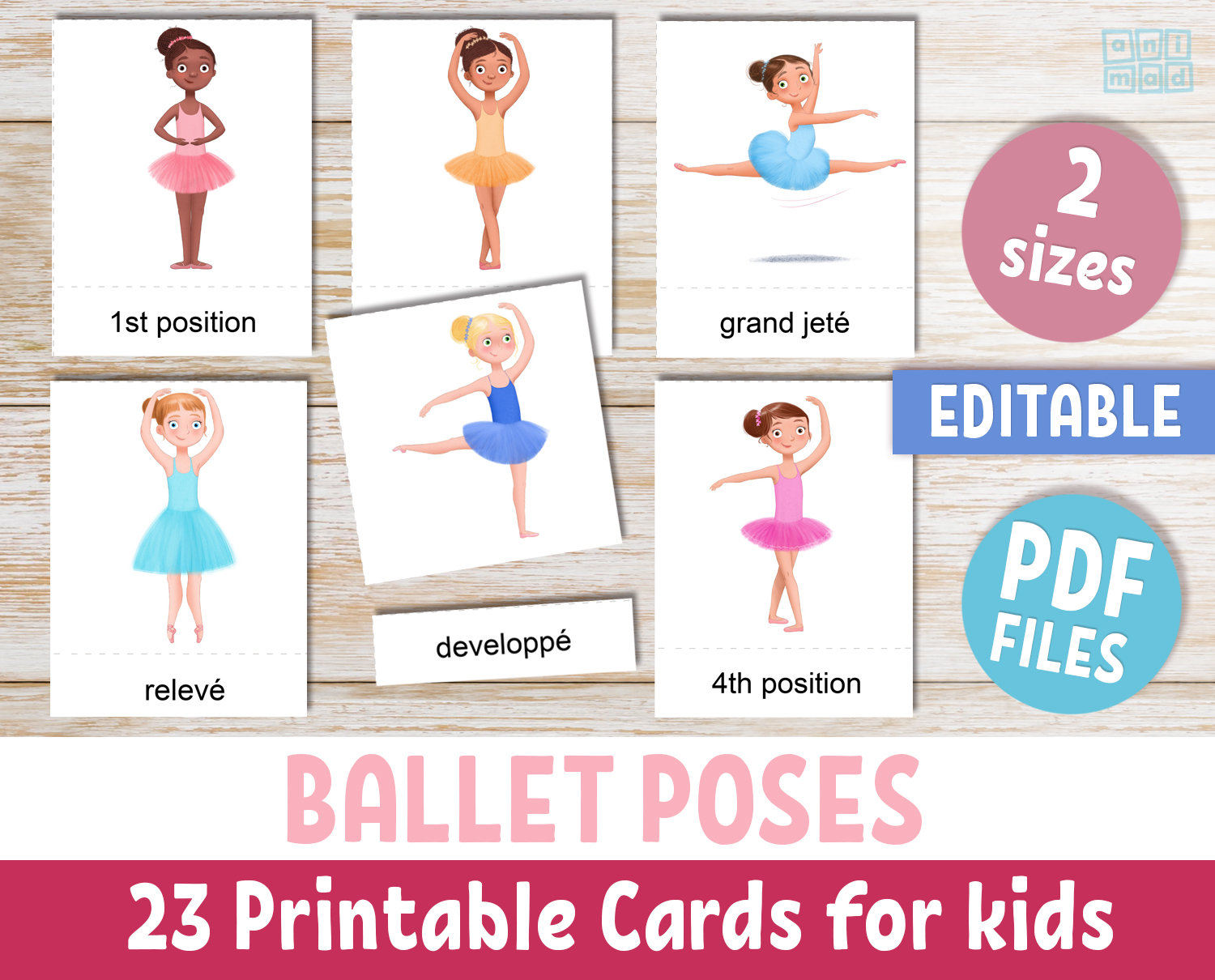 BALLET Poses Printable CARDS for Girls 23 Montessori - Etsy Australia