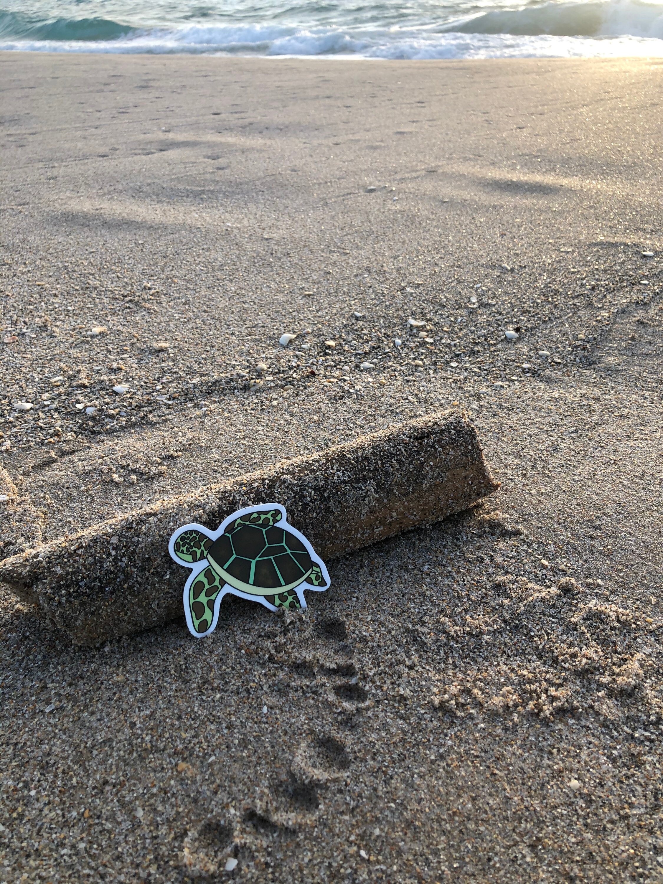 Green Sea Turtle Vinyl Sticker, Laptop Sticker, Animal Sticker ...