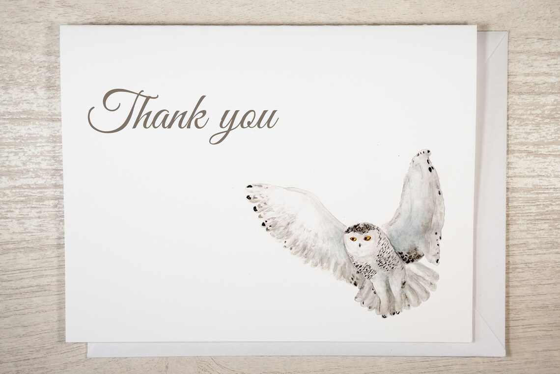 Snowy Owl Thank You Card Set Of 6 Notecard Set With | Etsy