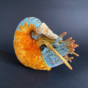 Nautilus Plush Toy, Handmade Vintage Toy, Cute Plushies, Weird Gift ...