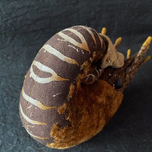 Nautilus Home Decor, Ammonite Vintage Plush Art Toy, Nautical Marine ...