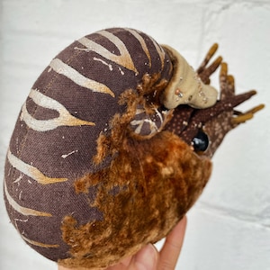 Nautilus Home Decor, Ammonite Vintage Plush Art Toy, Nautical Marine ...