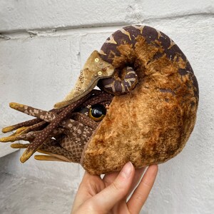 Nautilus Home Decor, Ammonite Vintage Plush Art Toy, Nautical Marine ...