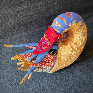 Plush Nautilus Art Toy. Stuffed Sea Creature. Handmade Home Decor ...