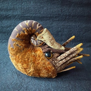 Nautilus Home Decor, Ammonite Vintage Plush Art Toy, Nautical Marine ...