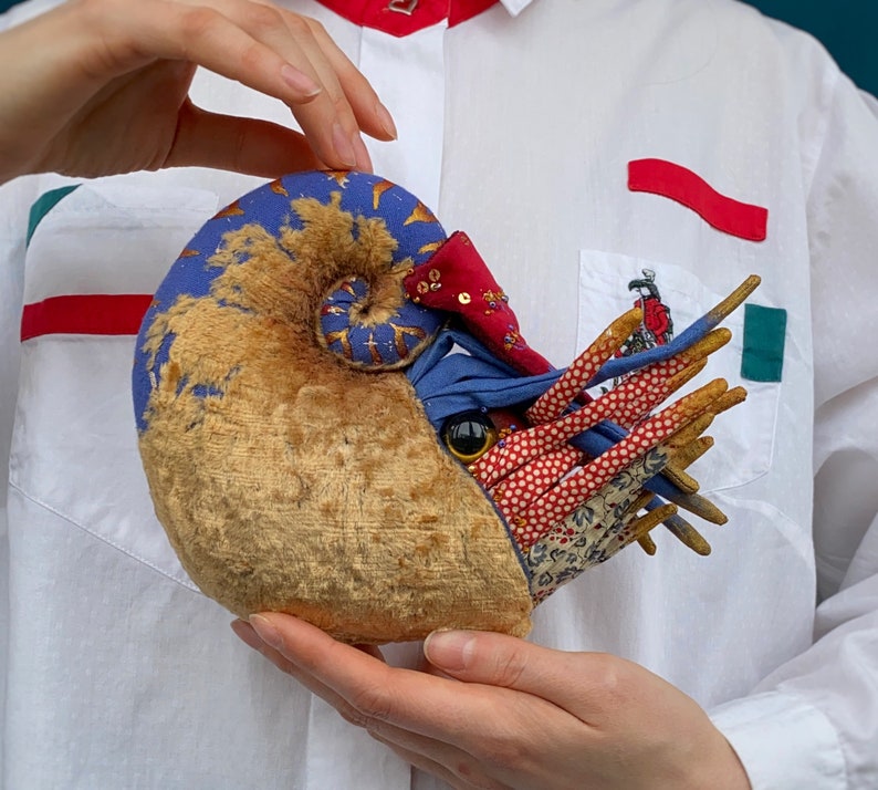 Nautilus Art Toy Ammonite Object Plush Stuffed Sea Animal - Etsy