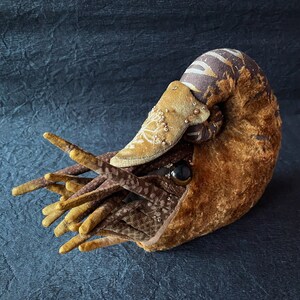 Nautilus Home Decor, Ammonite Vintage Plush Art Toy, Nautical Marine ...