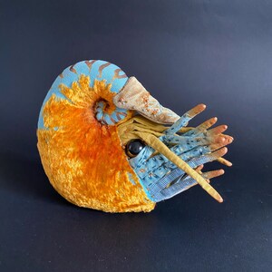 Nautilus Plush Toy, Handmade Vintage Toy, Cute Plushies, Weird Gift ...
