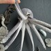 Handmade Textile Octopus Toy. Unique Gift for a Friend - Etsy