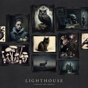 Dark Academia Decor Wall Art Bundle Set: 60 Digital Paintings | Goth ...