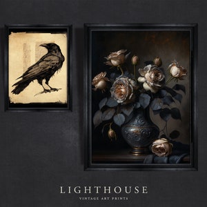 Dark Academia Decor Wall Art Bundle Set: 60 Digital Paintings | Goth ...