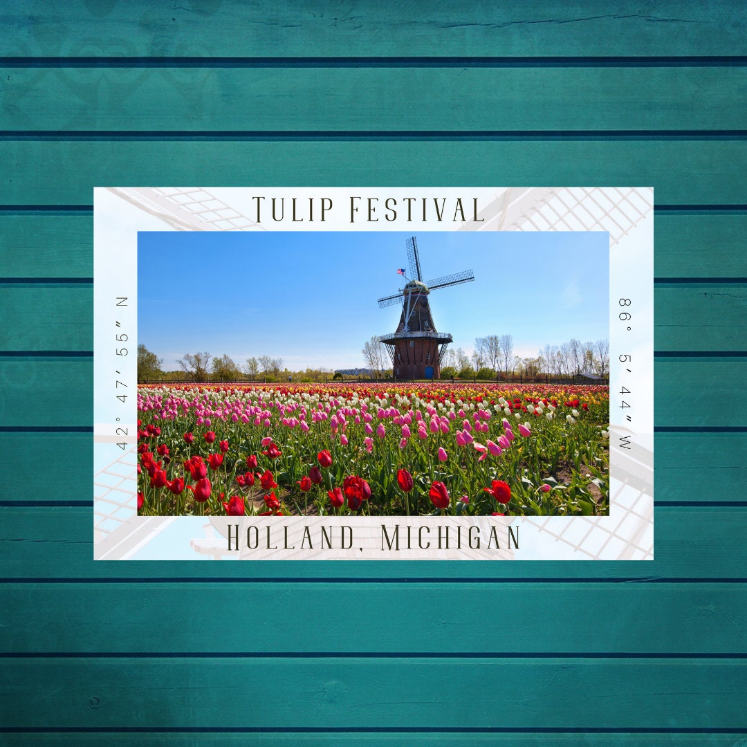 Tulip Festival Holland Michigan | Windmill & Tulips Postcard - Etsy