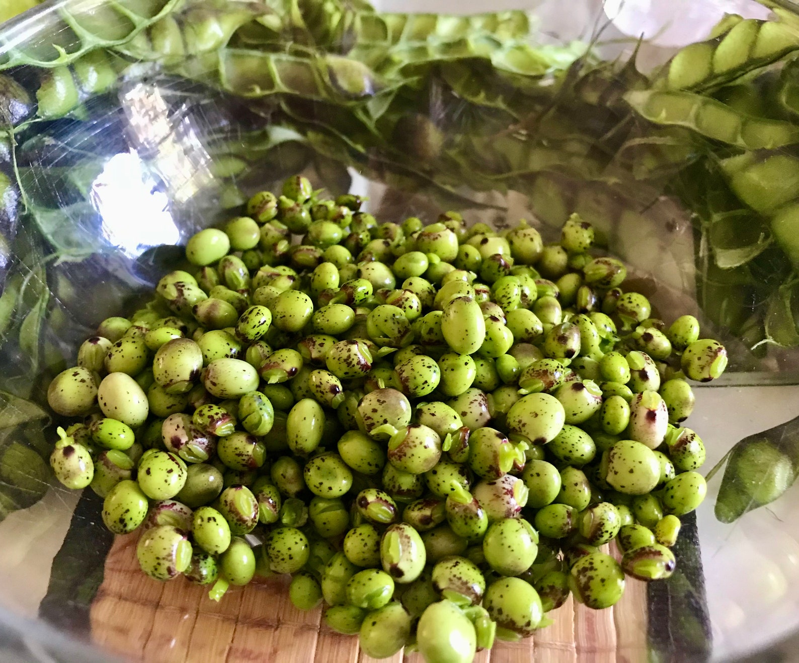 Organic Pigeon Pea Seeds - Etsy