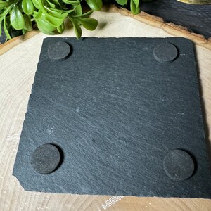 Parasaur Fossil Skeleton Coaster, Slate Stone Laser Engraved Dinosaur ...
