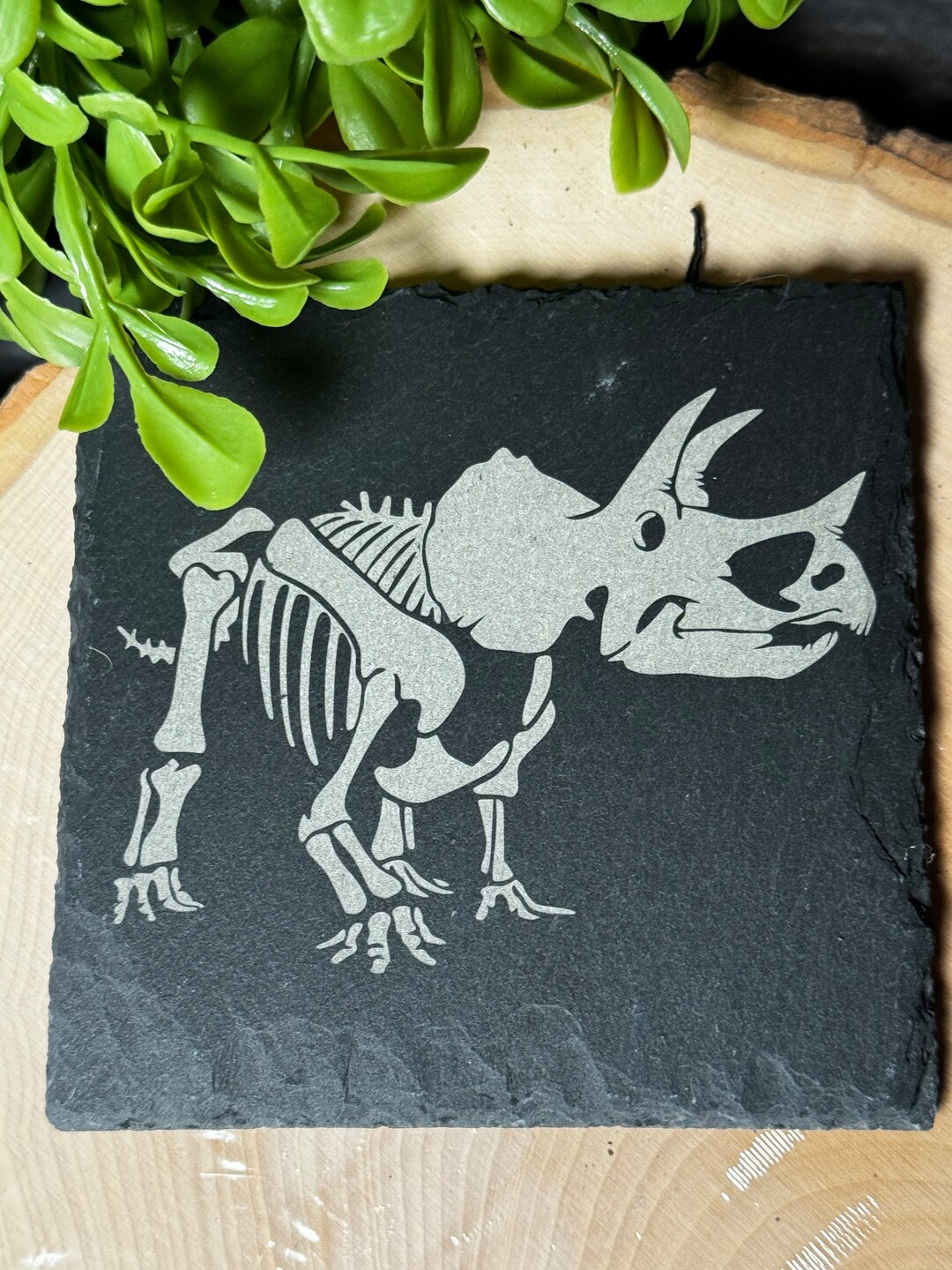 Triceratops Fossil Skeleton Coaster, Slate Stone Laser Engraved ...