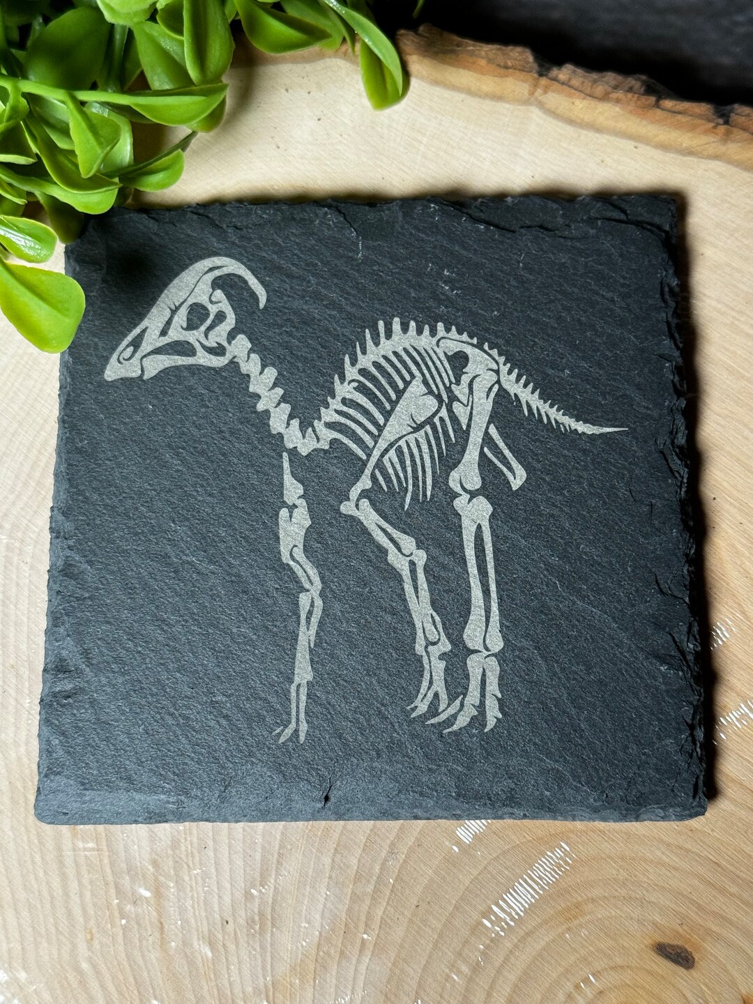 Parasaur Fossil Skeleton Coaster, Slate Stone Laser Engraved Dinosaur ...