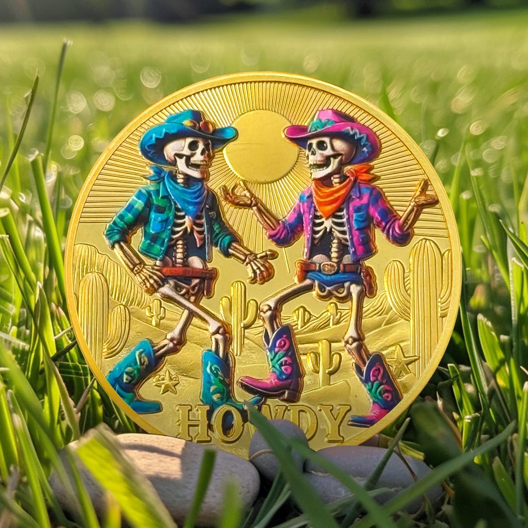 Customizable AA Coin Cowboy Skull, One Day at A Time Inspirational ...