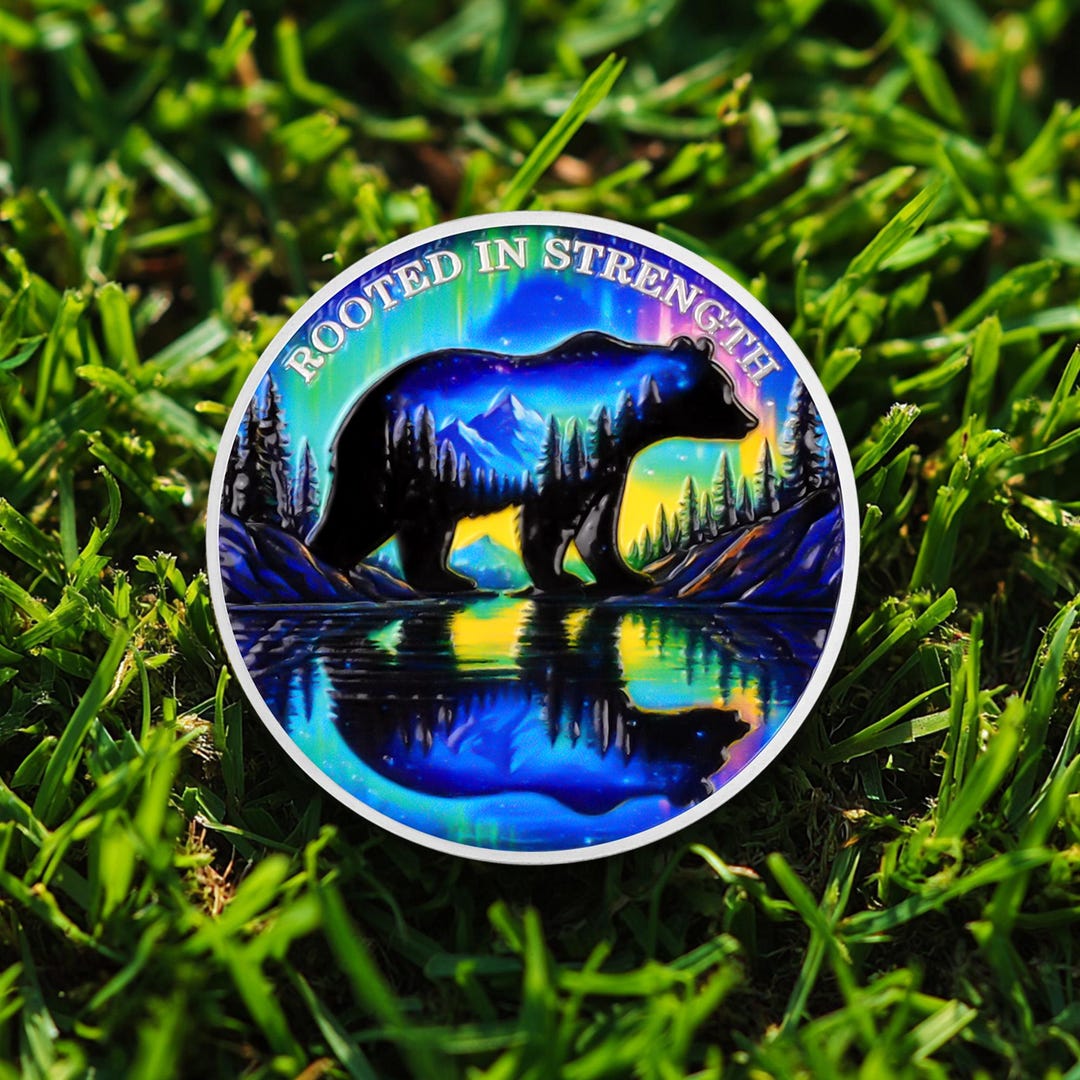 1-99 Years Aurora Polar Bear Sobriety Coin, Addiction Recovery Gift - Etsy