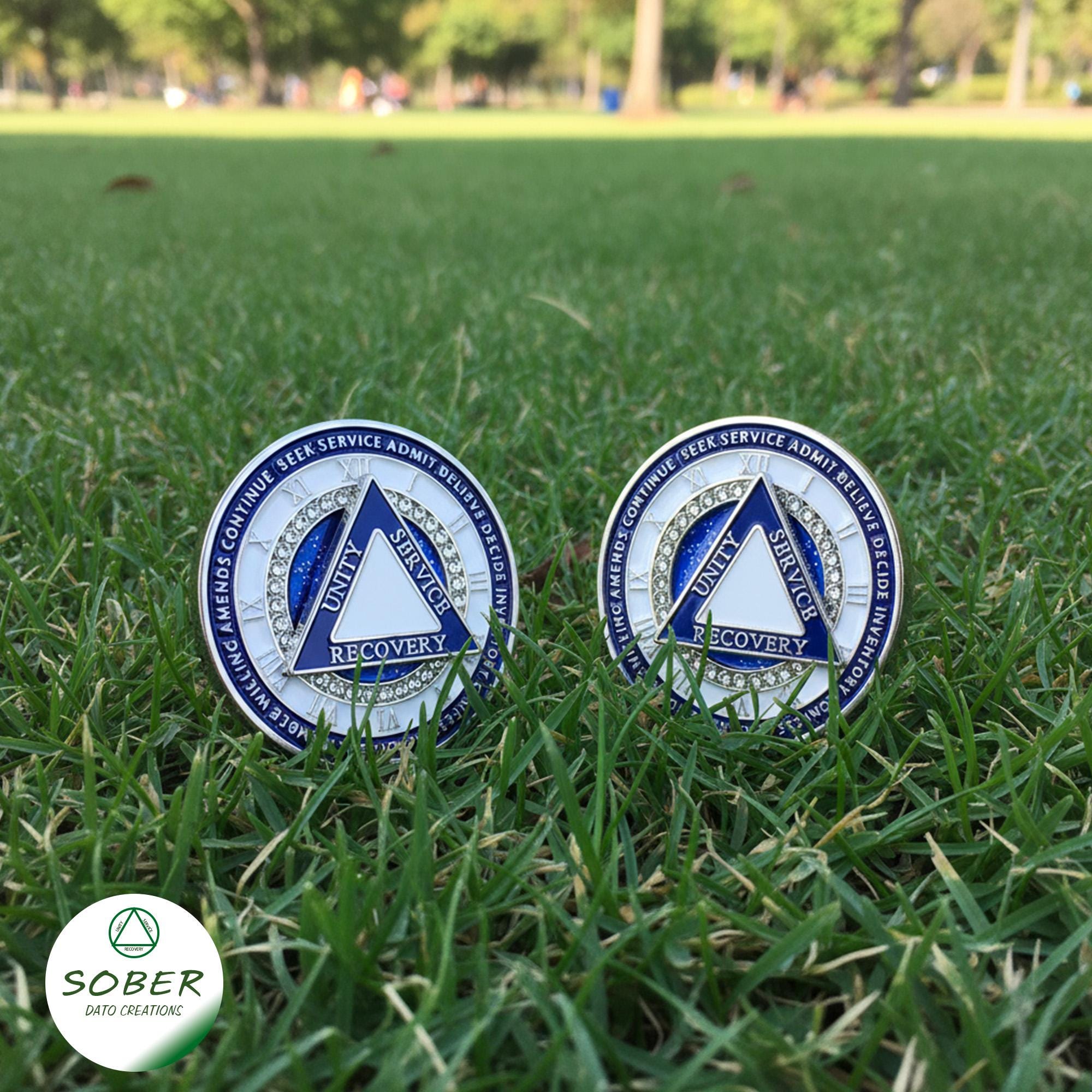 Sobriety Milestone Coin With Rotating Year, 12 Steps AA Chip Sober Gift ...