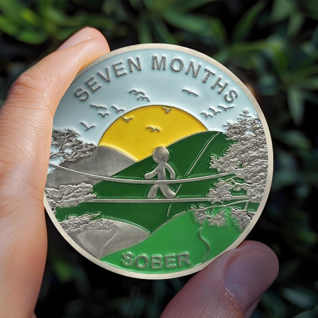 7 Months Sober Coin AA Medallion, Sobriety Token Alcohol Abstinence ...