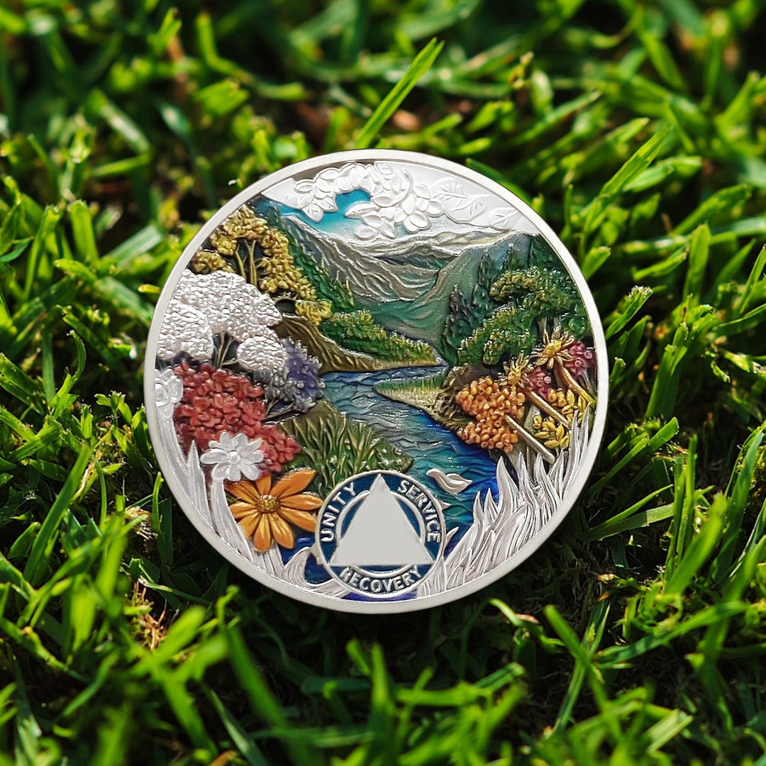 1-99 Years Recovery AA Chip, Summer Abundance Sobriety Milestone Coin ...