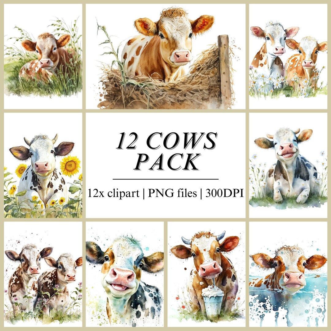 12 Cute Highland Cows Clipart PNG, Watercolor, Farm Animal Clipart ...